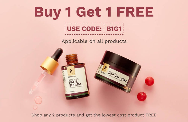 Pilgrim India - Official Website