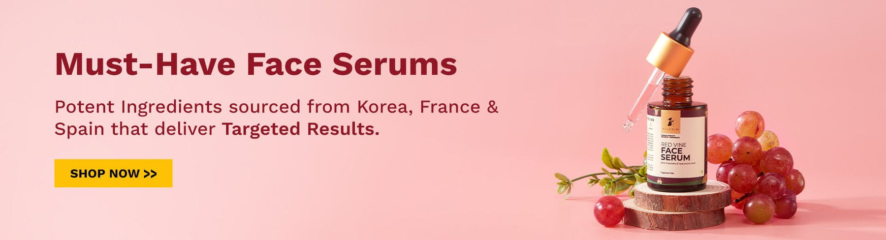 Pilgrim India - Official Website