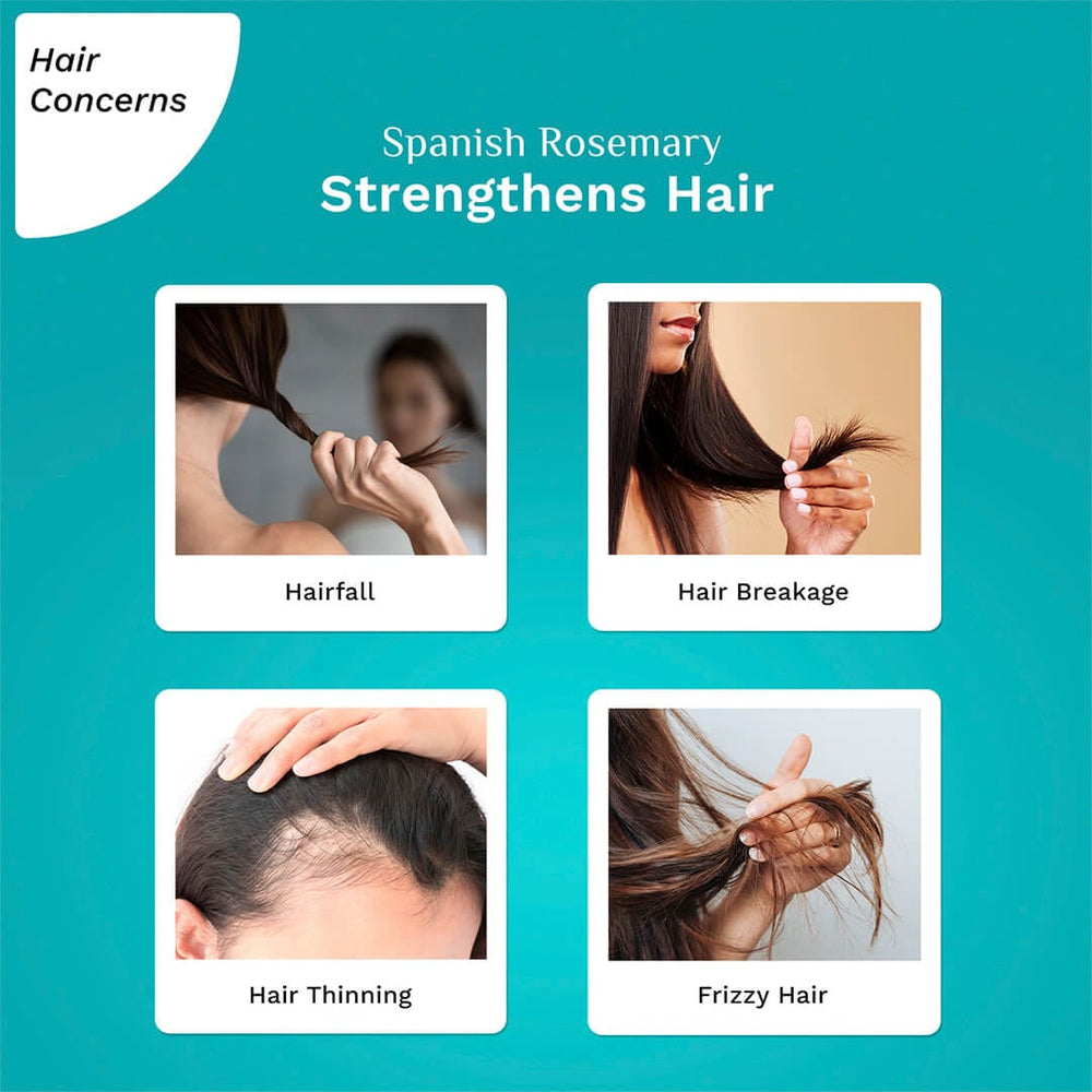 Buy Spanish Rosemary & Biotin Anti-Hairfall Hair Mask