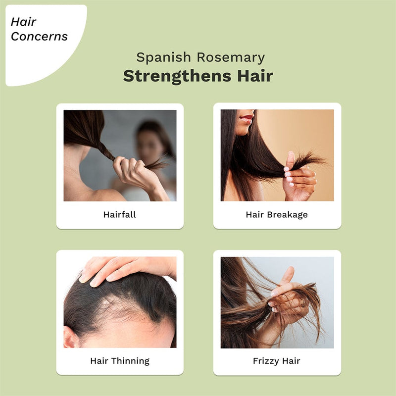 Spanish Rosemary & Biotin Anti-Hairfall Hair Mask | Spanish Rosemary ...