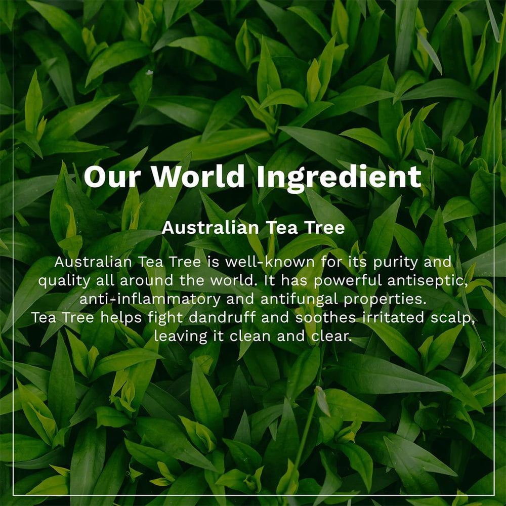 Australian Tea Tree Non-Drying Anti-Dandruff Shampoo